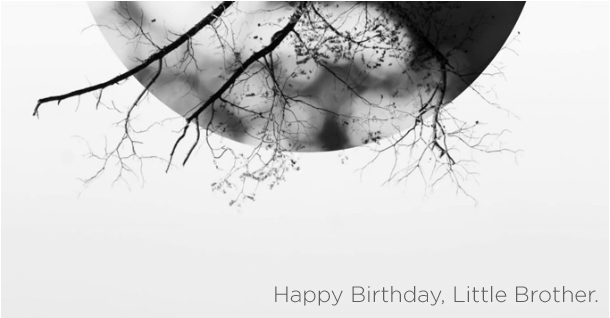 Happy Birthday, AP! – Project Palermo