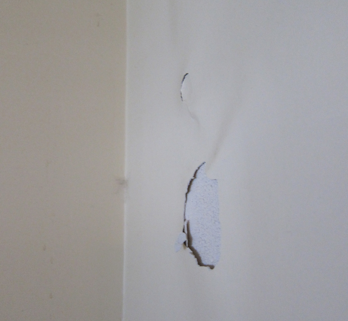 Living Room and Sunroom: Progress and Plans – Project Palermo