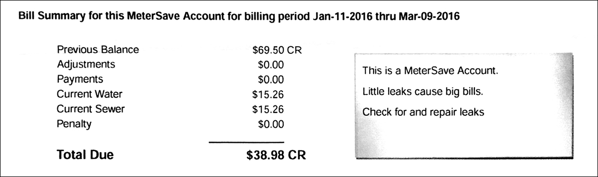Chicagoans: Sign Up for a Water Meter! – Project Palermo