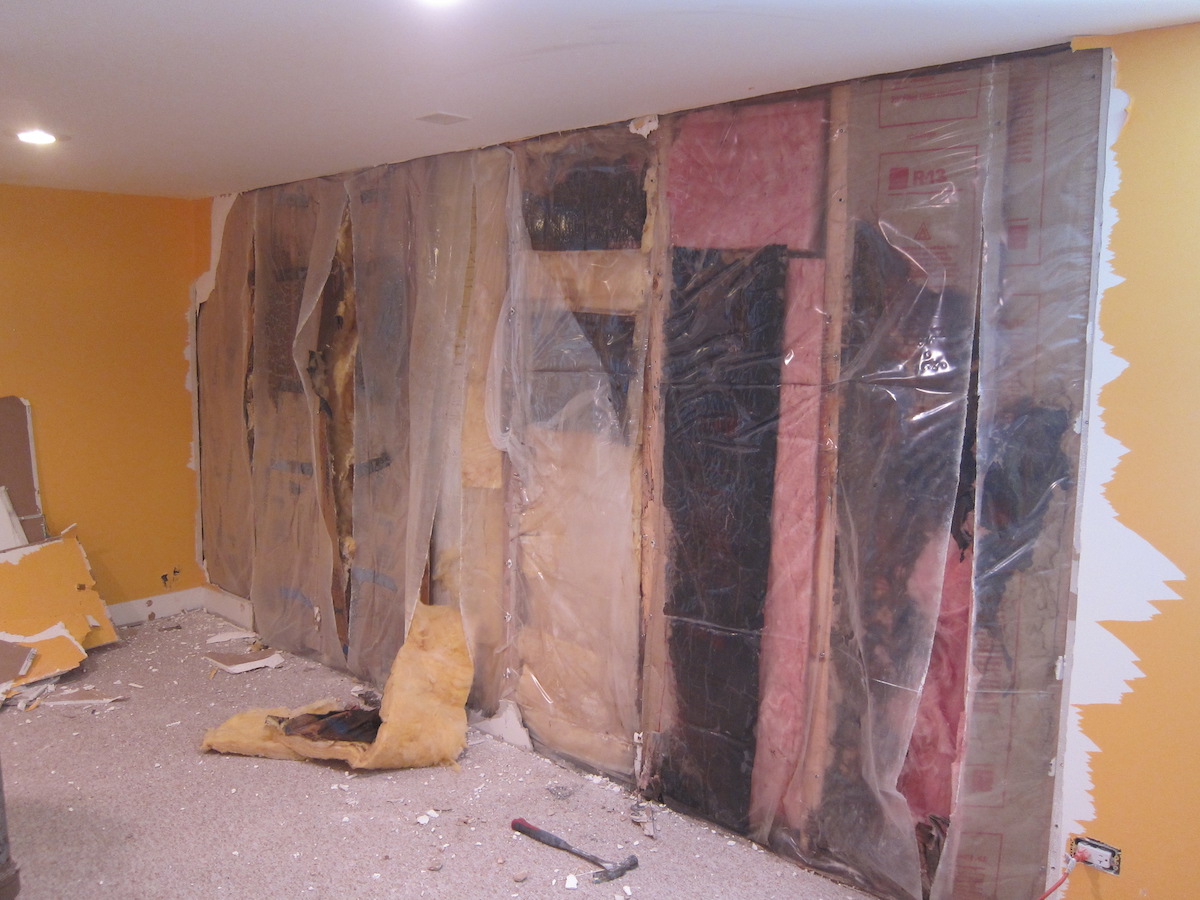 Unfinishing a Finished Basement – Project Palermo