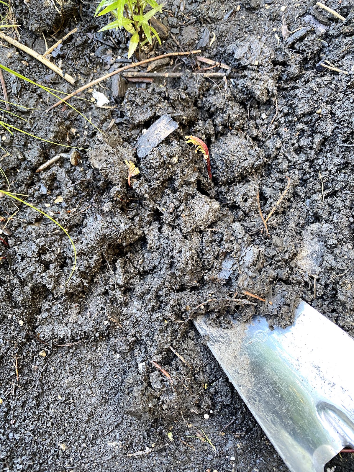 ORC Week 6: Cursing the Queen and Hailing the Halo – Project Palermo